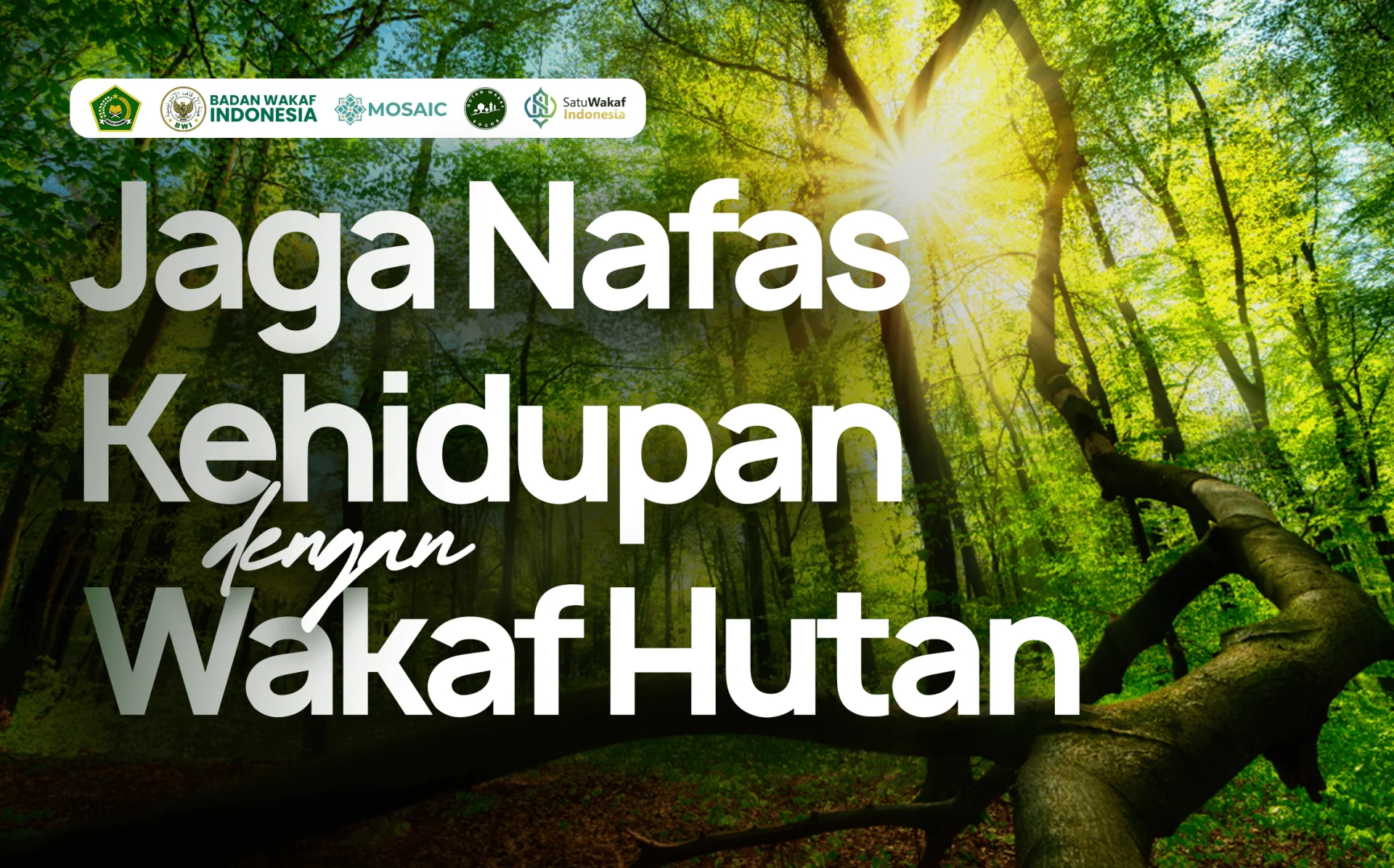 Badan Wakaf Indonesia